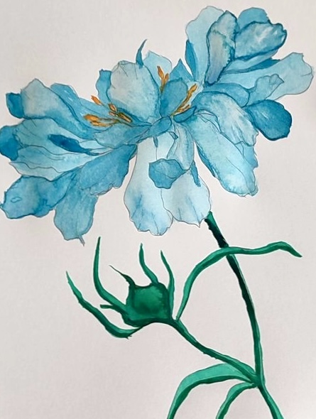 The Star and the Garden | International Picture Book Project Supporting Ukraine