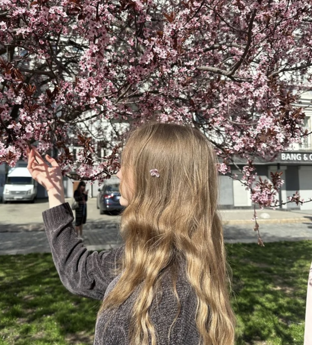 The Star and the Garden | International Picture Book Project Supporting Ukraine